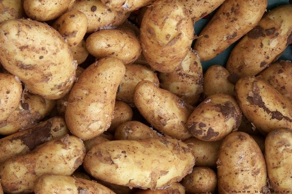 Dauphinoise Potatoes | Psychotherapy, Hypnotherapy, Massage | Nr. Ipswich