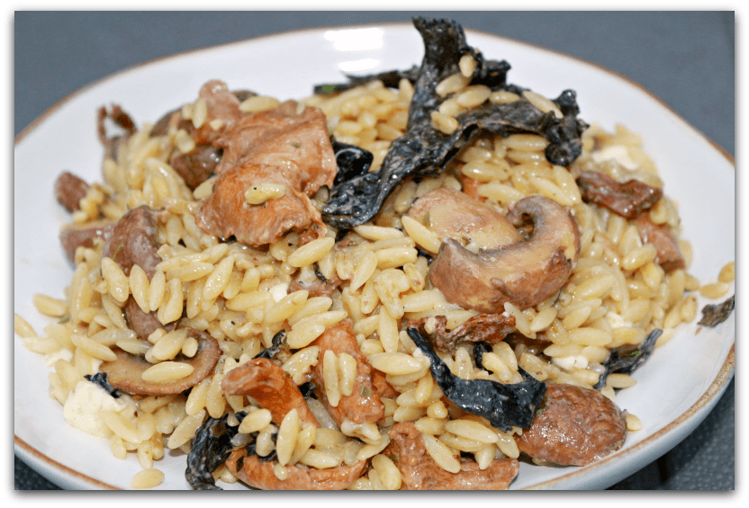 Mushroom Ragout with Orzo | Psychotherapy, Hypnotherapy, Massage | Nr ...